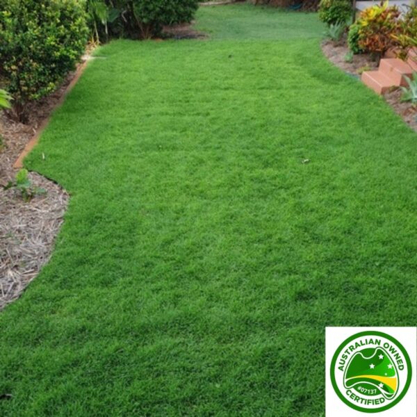 Turf Archives - Coastal Turf