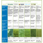 Coastal Turf grows beautiful turf grasses, let us help you get your ...