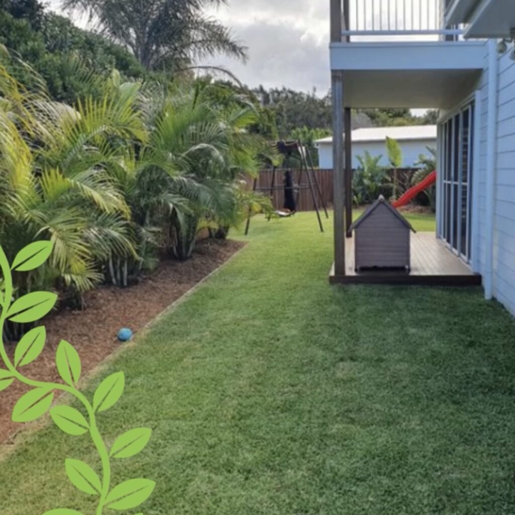 Turf Maintenance - Coastal Turf