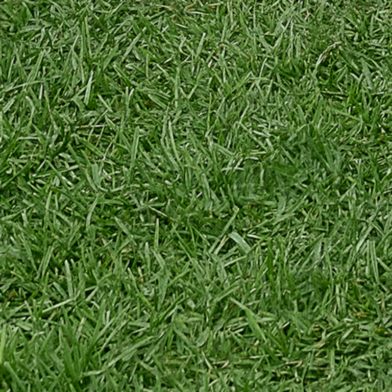 Wintergreen Couch - Coastal Turf