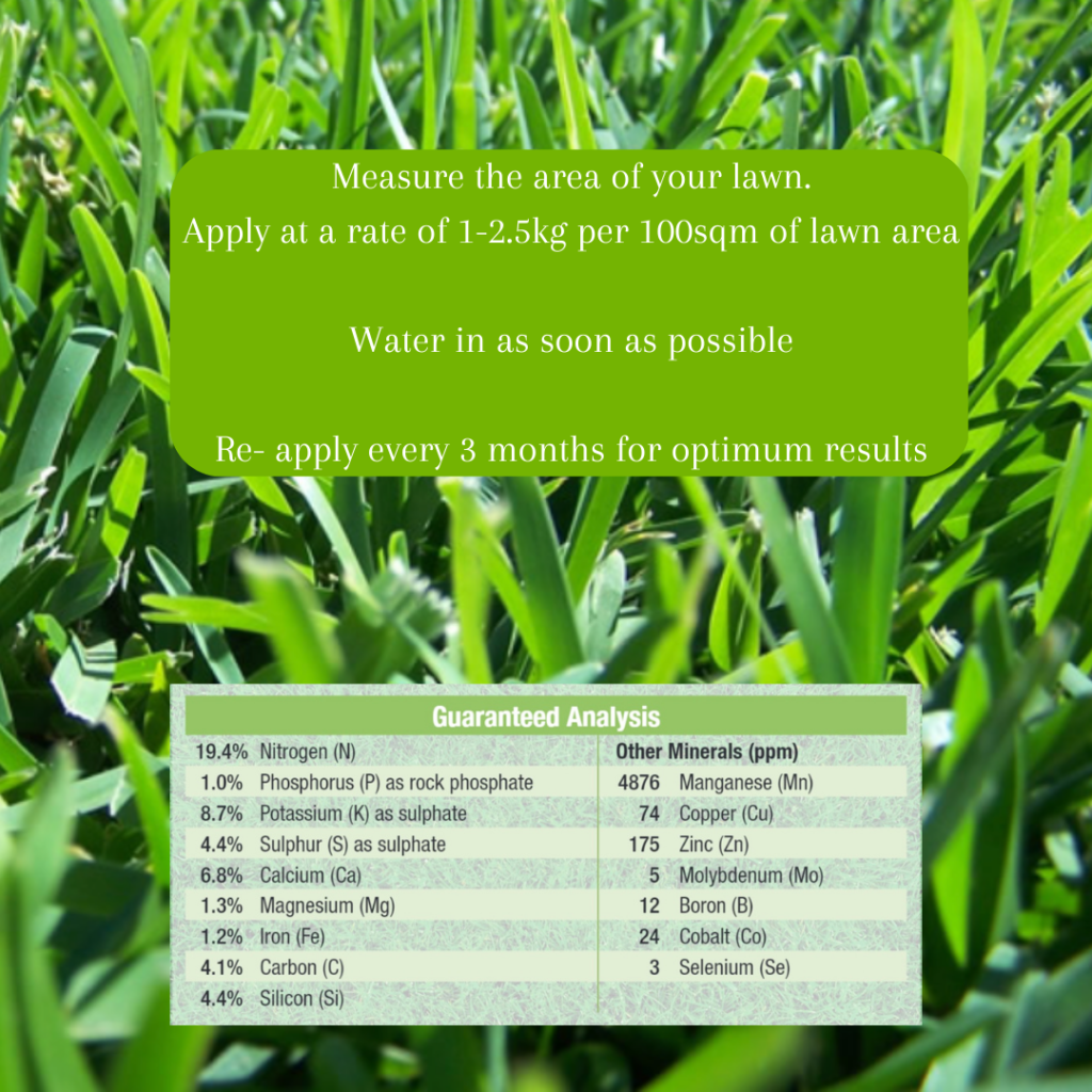 Lawn Play All Rounder Fertiliser - Coastal Turf