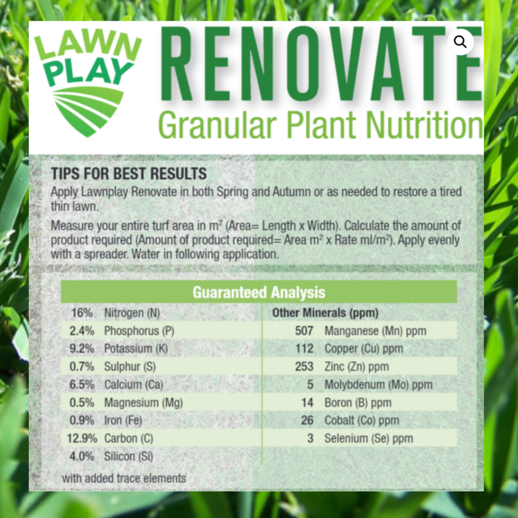 Lawn Play Renovate - Coastal Turf