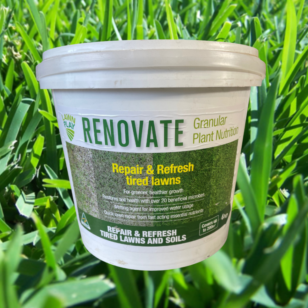 Lawn Play Renovate - Coastal Turf